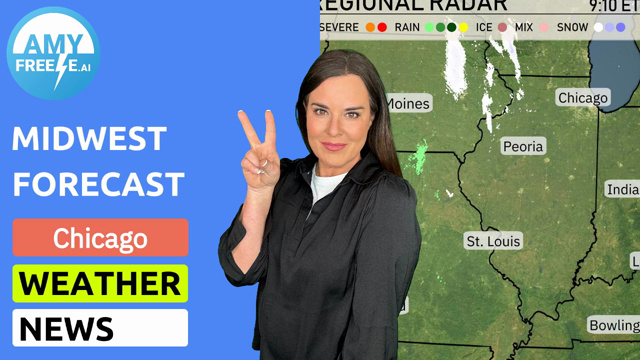 Navigating the Climate Carousel: Chicago's Dynamic Weather Forecast ...