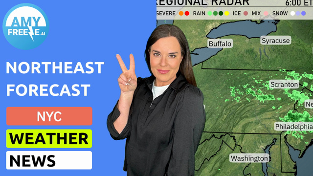 Navigating New York’s Nimbus: A Week of Weather in the City - Amy Freeze AI