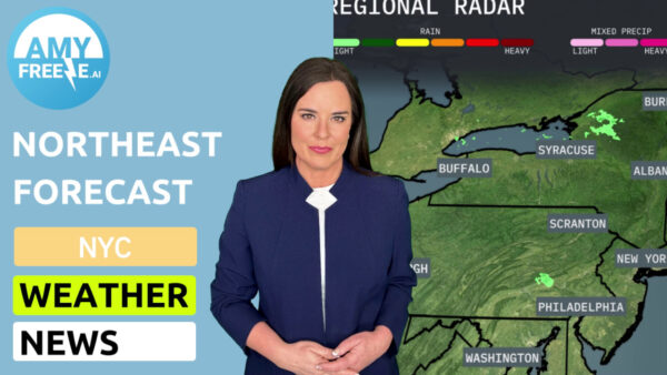 Amy Freeze AI - Expert Weather Insights, Forecasts & Meteorology News ⛅ ...
